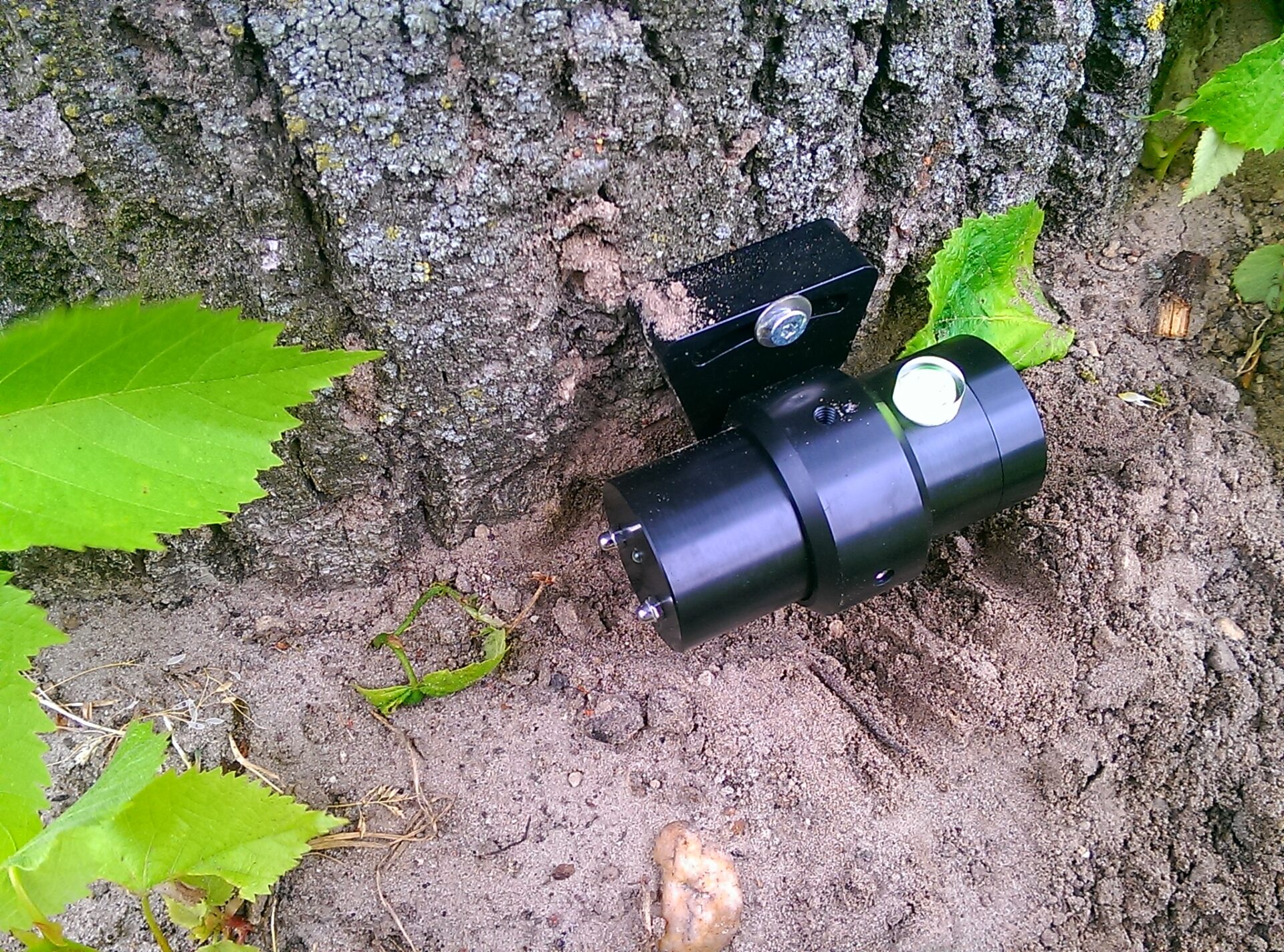 Tree Motion Sensor - idverde