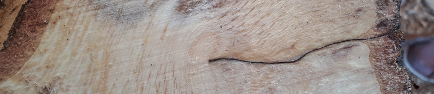 Oude geënte bomen veel gevaarlijker dan tot nu toe gedacht - idverde