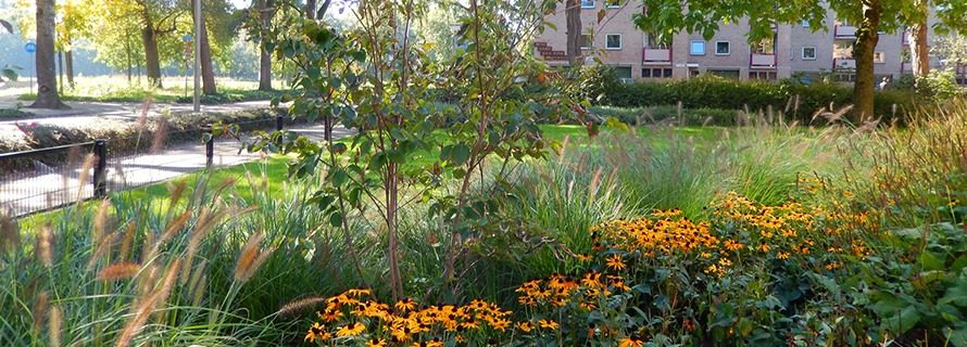 idverde - Meer waarde door groen